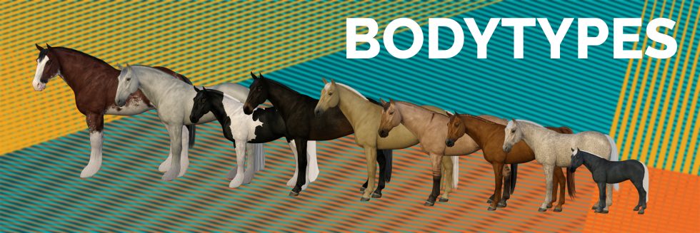 Legacy Horse Game Realistic Horse Genetics Game