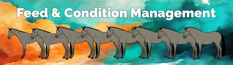 Legacy: Horse Game | Realistic horse genetics game